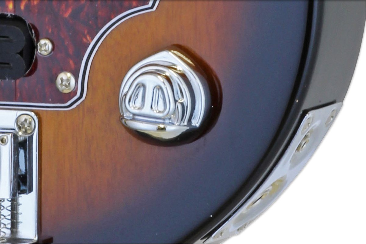 PGG-200 – Pignose Amps